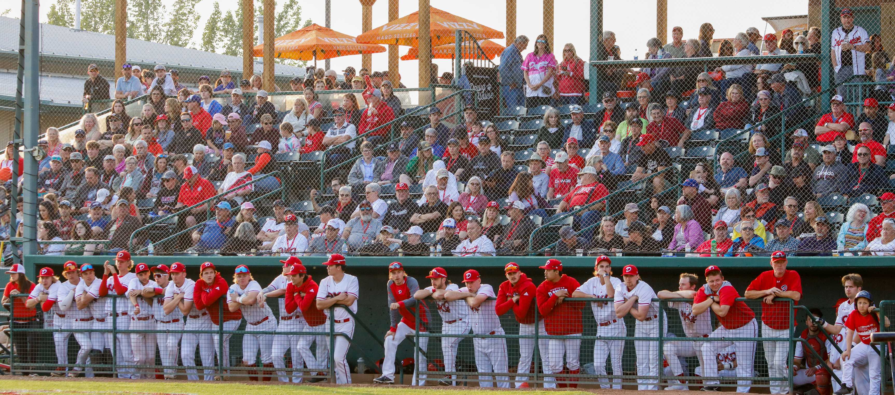 Dawgs Off to a Hot Start