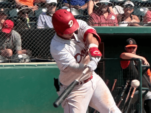 News | Okotoks Dawgs Baseball